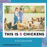 Chicken Math Explained - Calculating Your True Number of Chickens ...
