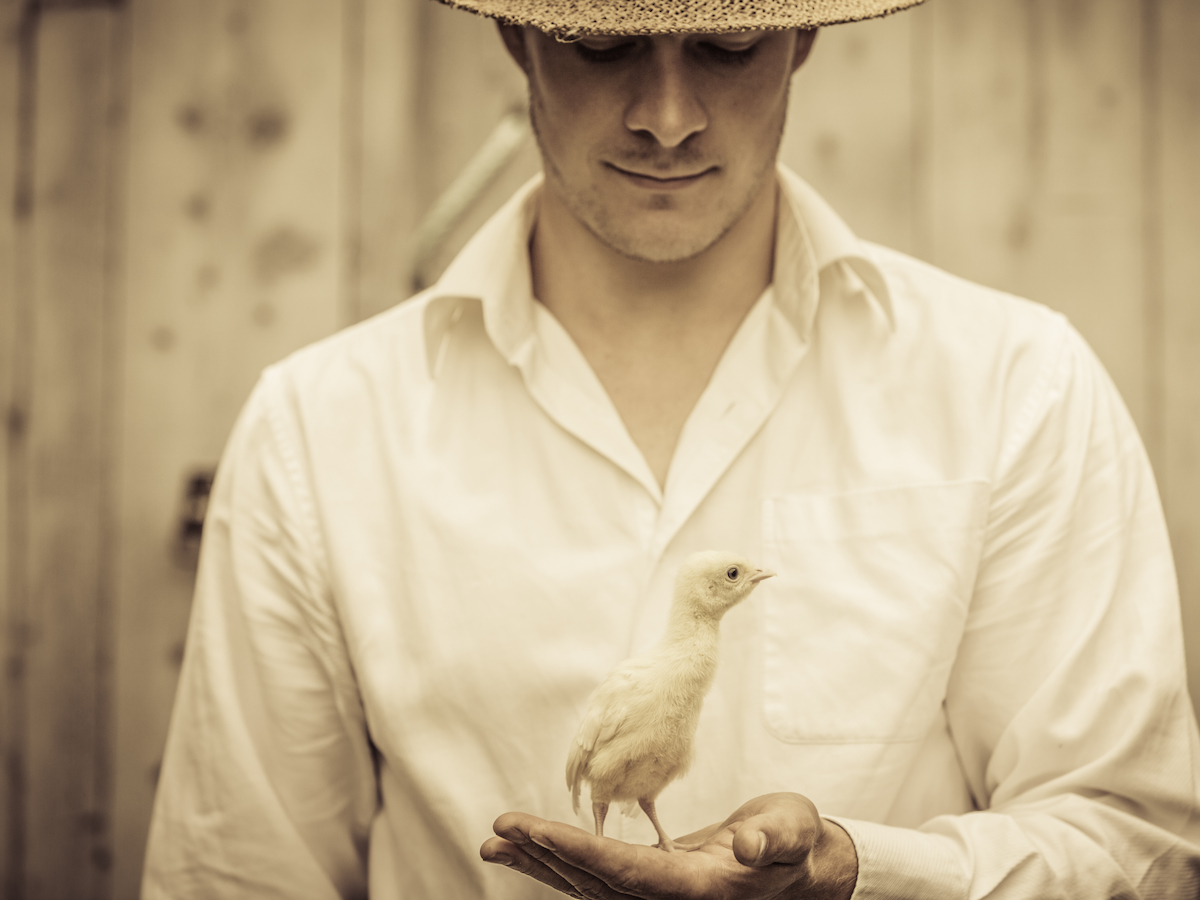 340+ Name Ideas for Your Pet Turkey - Male, Female, Funny, Color ...