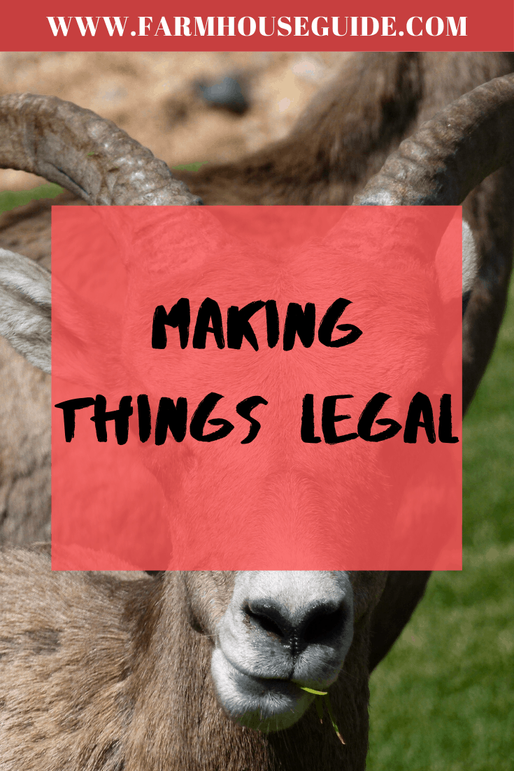 27 Goat Farm Name Ideas - Farmhouse Guide