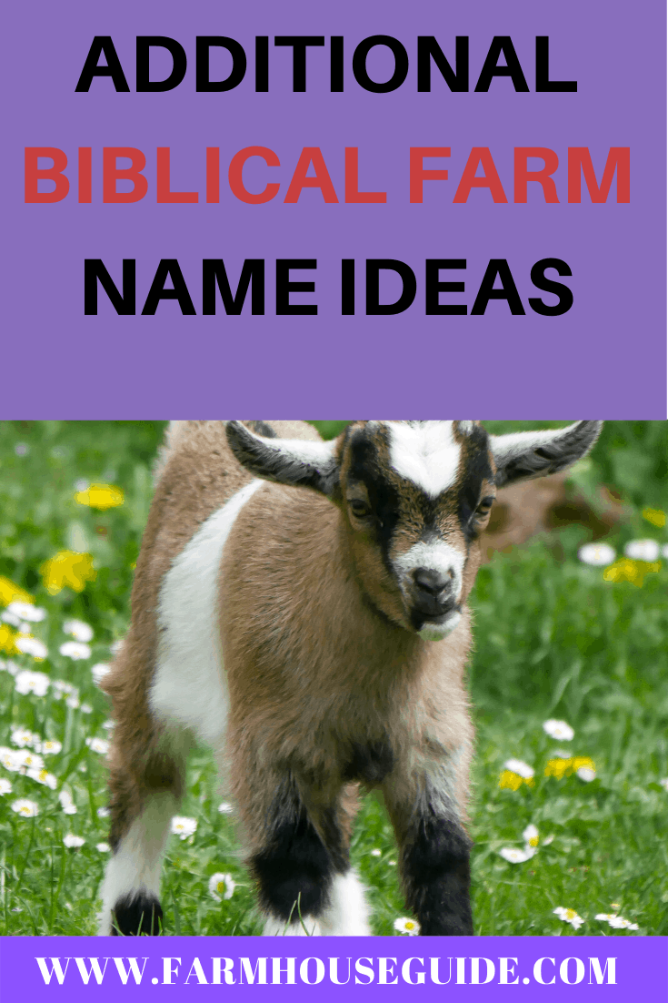 Biblical Farm Name Ideas + Ideas to Create Your Own - Farmhouse Guide