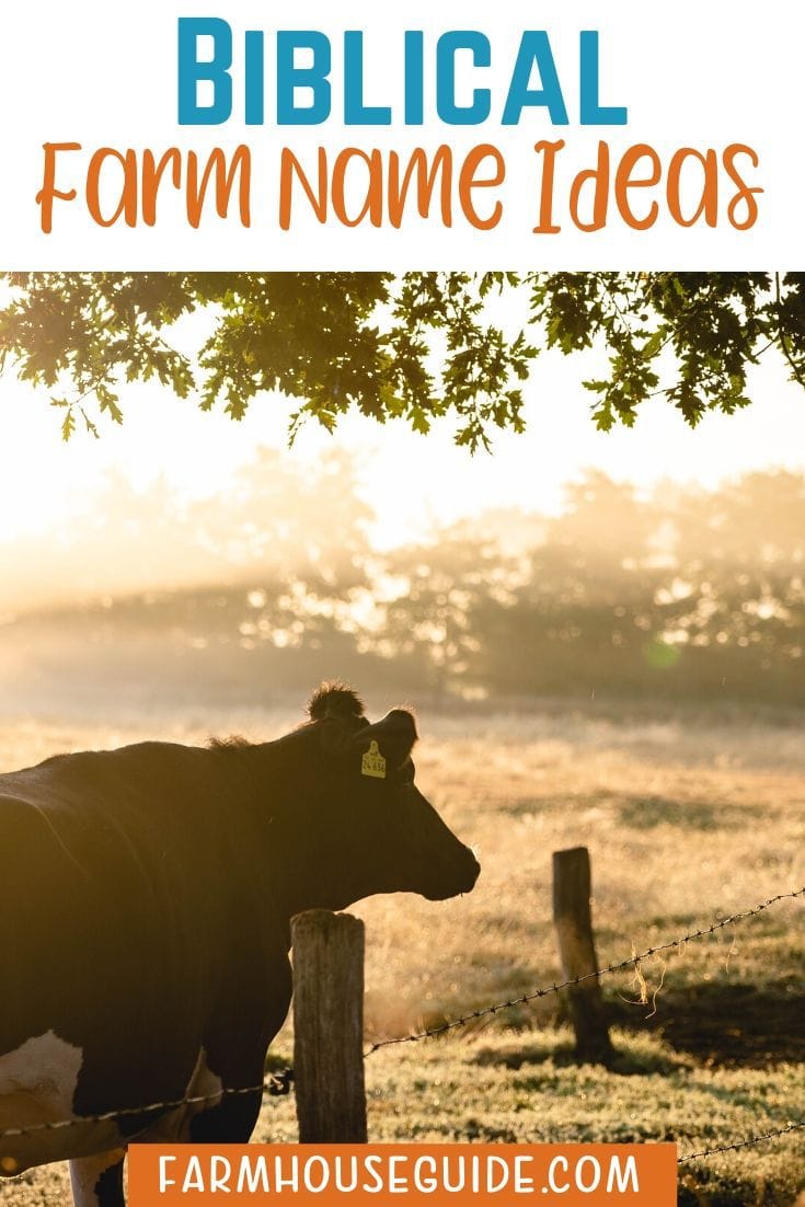 Biblical Farm Name Ideas + Ideas to Create Your Own - Farmhouse Guide