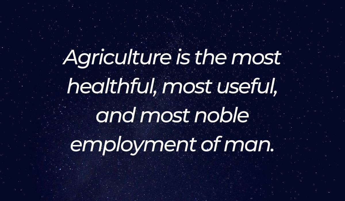 79+ Farmhouse Quotes - Farmhouse Guide