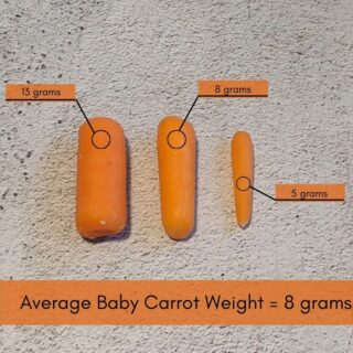 How Much Do Chickens Weigh? - Weight Chart by Breed - Farmhouse Guide