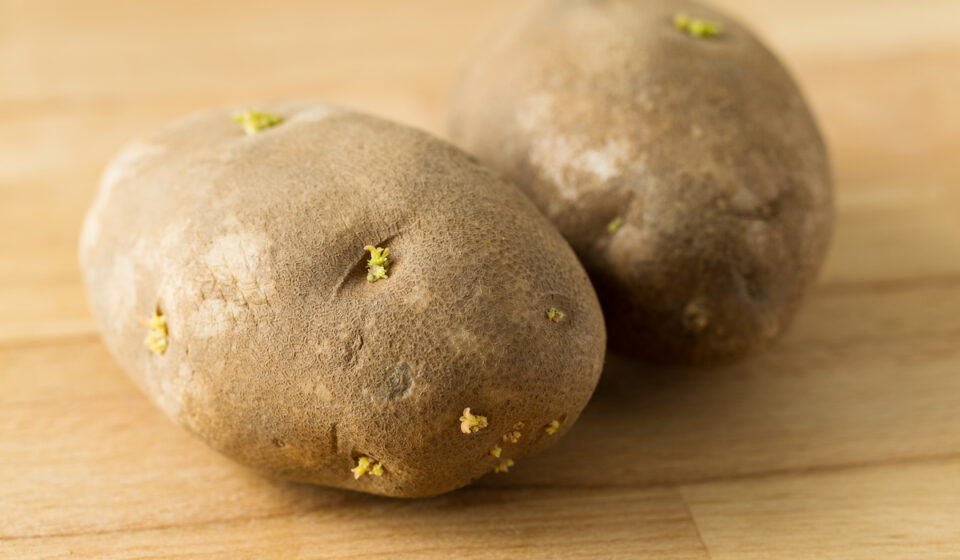 7 Ways to Tell If a Potato is Bad - Farmhouse Guide