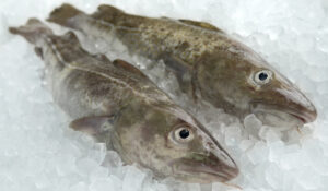 25 Types of Edible Fish - Farmhouse Guide