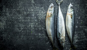 25 Types of Edible Fish - Farmhouse Guide