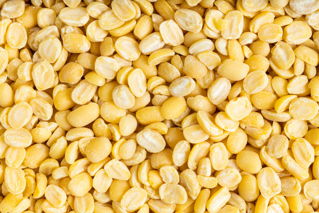 The 2 Types of Yellow Lentils - Farmhouse Guide