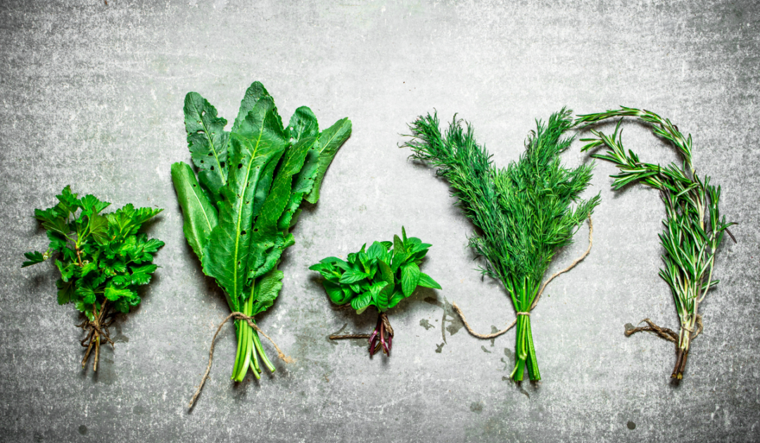 Types of Herbs - Farmhouse Guide