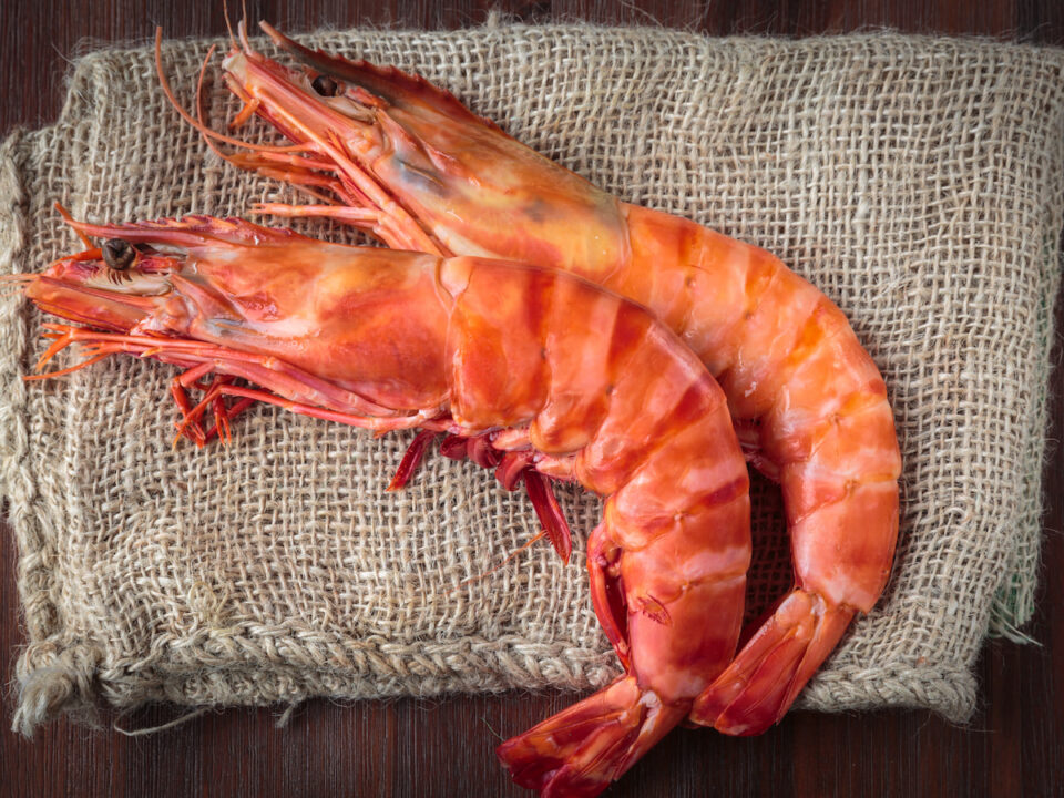How to Tell If Shrimp Is Bad - Farmhouse Guide