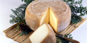 Types of Cheese Made From Sheep Milk - Farmhouse Guide