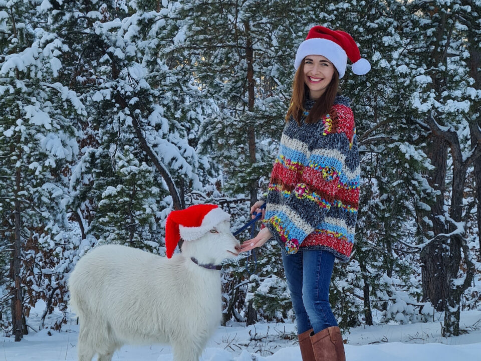 How to Keep Goats Warm In the Winter: The Ultimate Guide - Farmhouse Guide