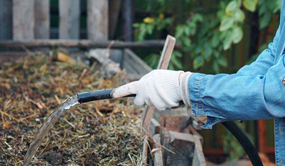 Can Duck Manure Be Used as Fertilizer? - Farmhouse Guide