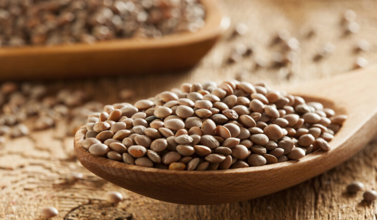 13 Types and Varieties of Lentils - Farmhouse Guide