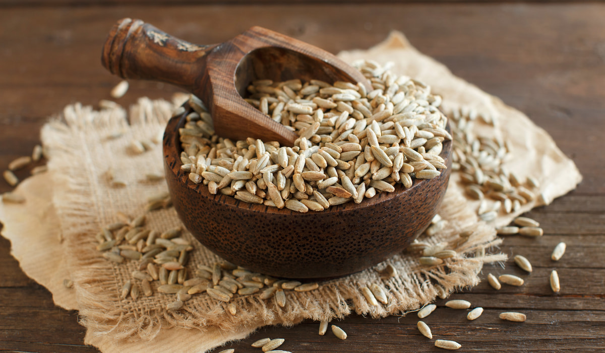 9 Types of Grains That Peacocks Love to Eat - Farmhouse Guide