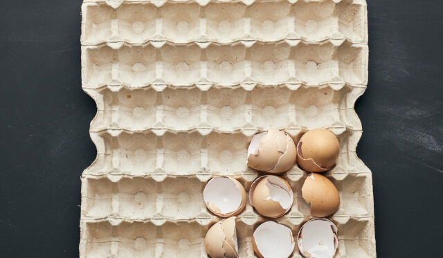 Can Pigs Eat Eggs and Eggshells? - Farmhouse Guide