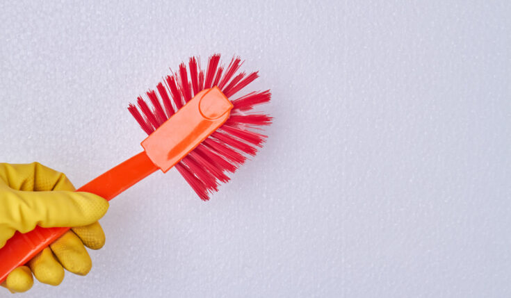 7 Types of Brushes Used in Housekeeping - Farmhouse Guide