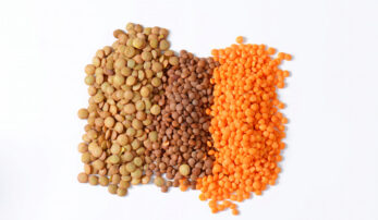 13 Types and Varieties of Lentils - Farmhouse Guide