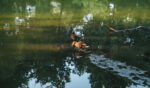 How to Keep a Duck Pond Clean: 10+ Tips and Tricks - Farmhouse Guide