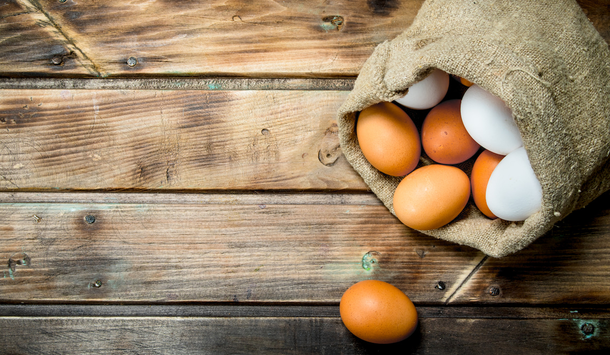 What To Name Your Egg Farm 37 Ideas To Get You Started Farmhouse Guide What To Name Your Egg Farm 37 Ideas To Get You Started Farmhouse Guide