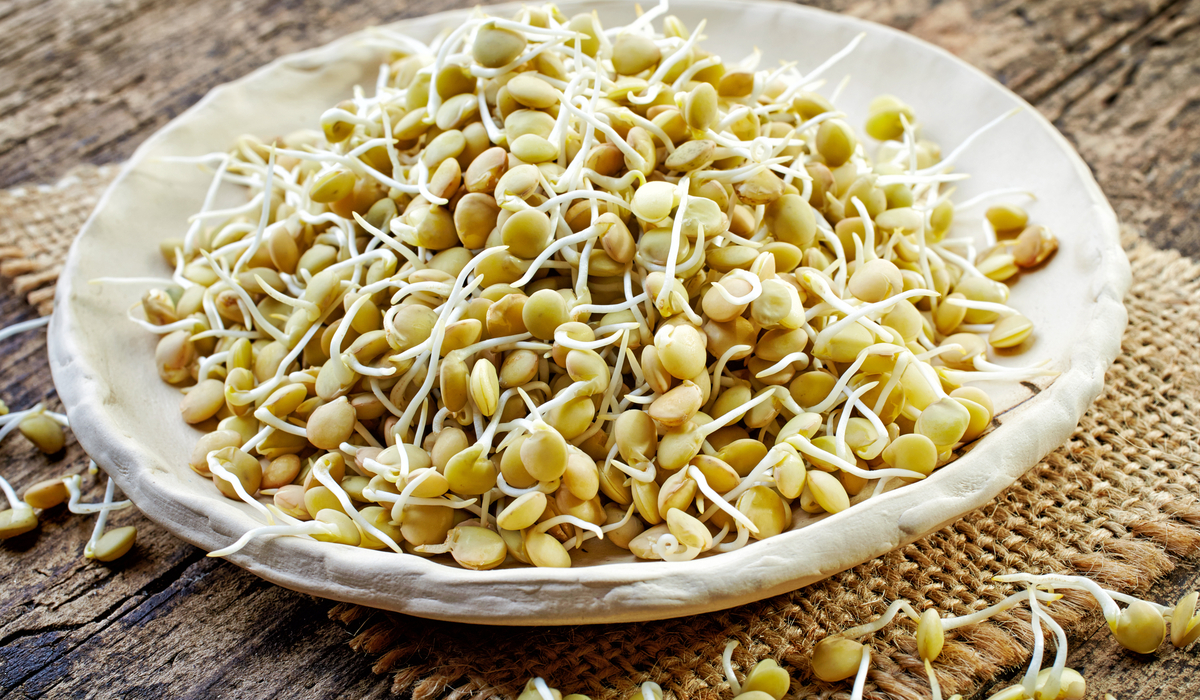 3 Types of Lentil Sprouts (and Where to Buy Them) - Farmhouse Guide