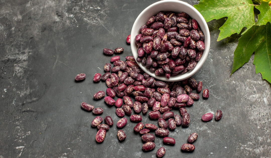 9 Types of Grains That Peacocks Love to Eat - Farmhouse Guide