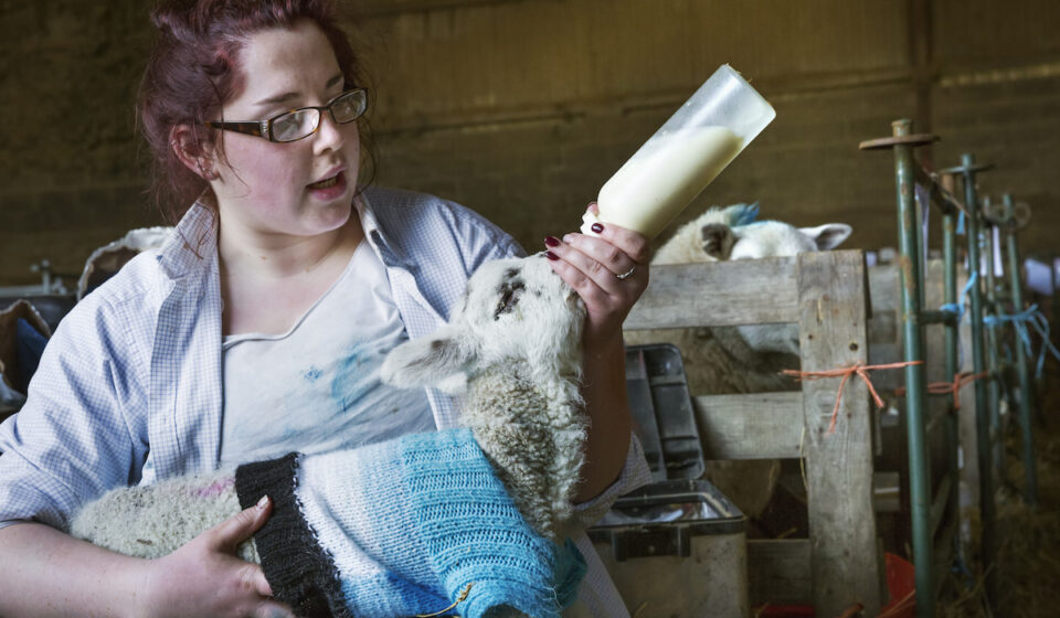 7 Animals That Can Drink Cow's Milk - Farmhouse Guide