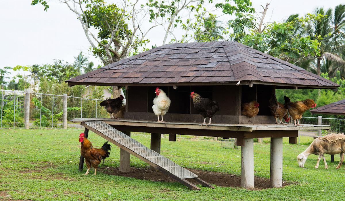 13 Types of Farm Buildings - Farmhouse Guide