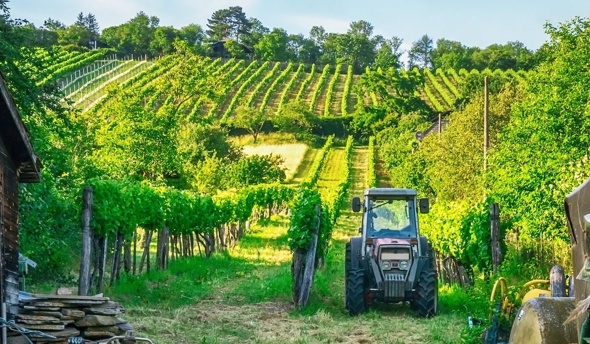 9 Types of Farm Tractors - Farmhouse Guide