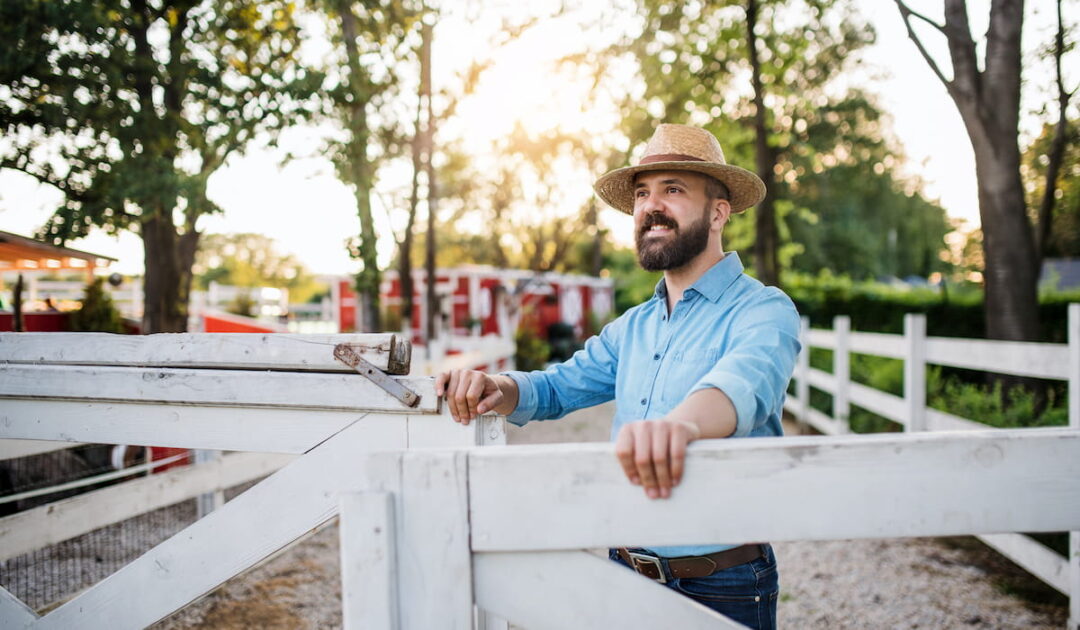 9 Types of Farm Gates - Farmhouse Guide