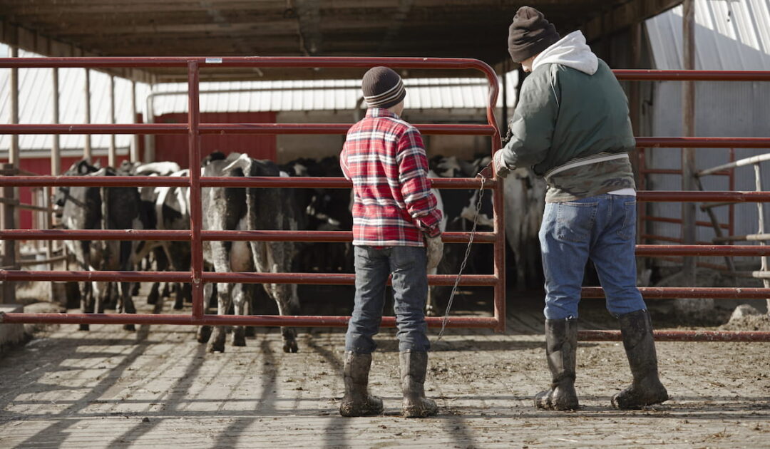 9 Types of Farm Gates - Farmhouse Guide