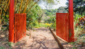 9 Types of Farm Gates - Farmhouse Guide