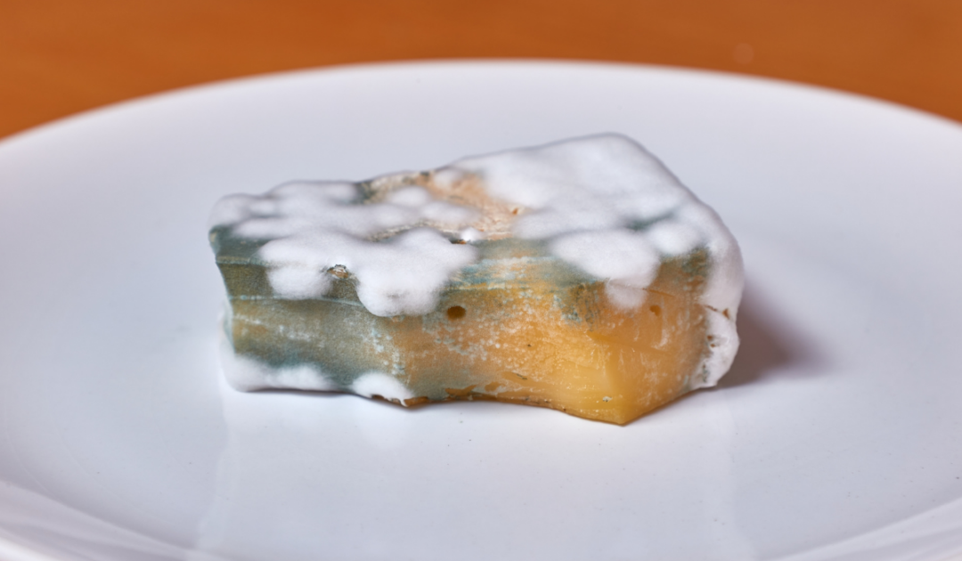 How to Tell if Cheese Is Bad? - Farmhouse Guide