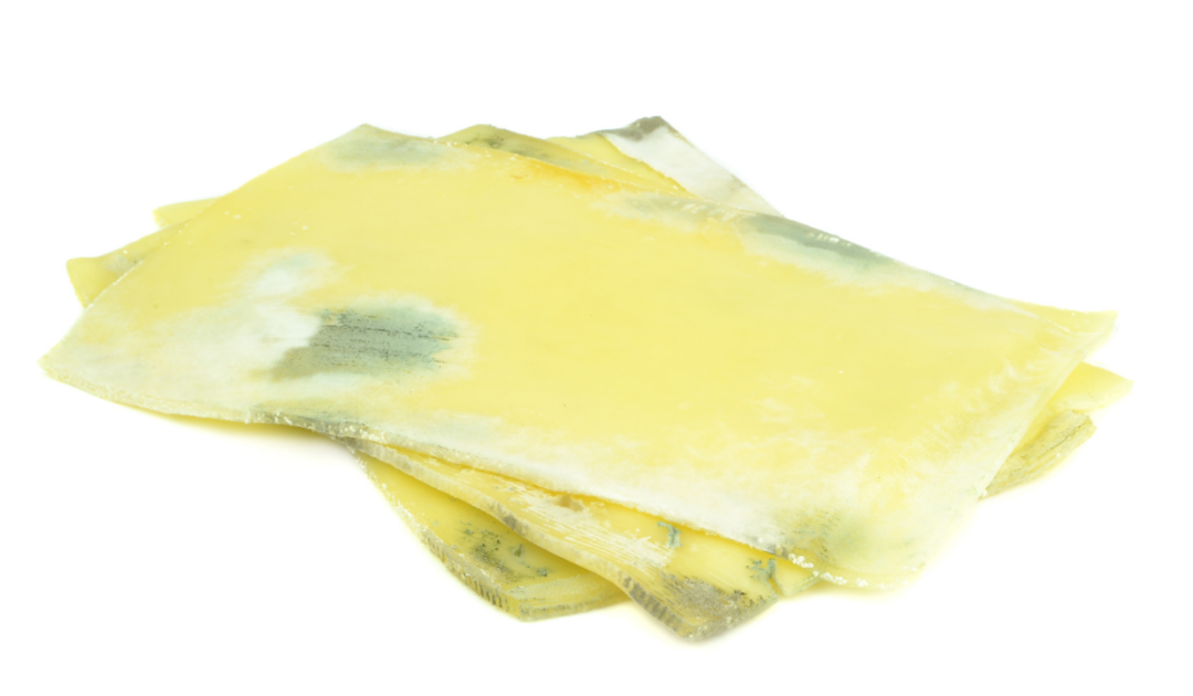 How to Tell if Cheese Is Bad? - Farmhouse Guide