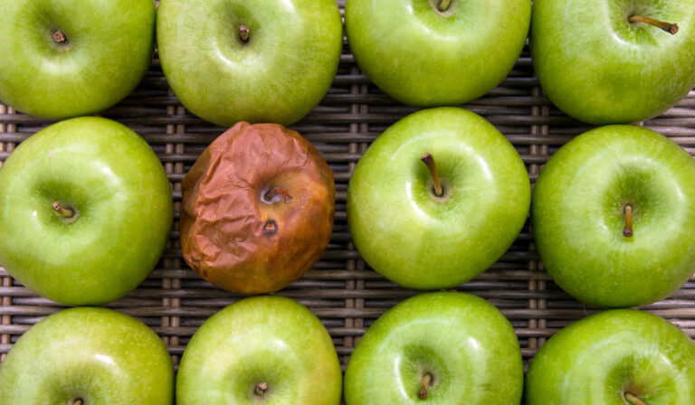 How to Tell if an Apple Is Bad - Farmhouse Guide