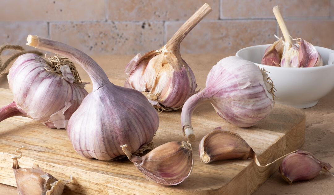How to Tell if Garlic Is Bad - Farmhouse Guide