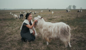 How to Pet a Goat - Farmhouse Guide