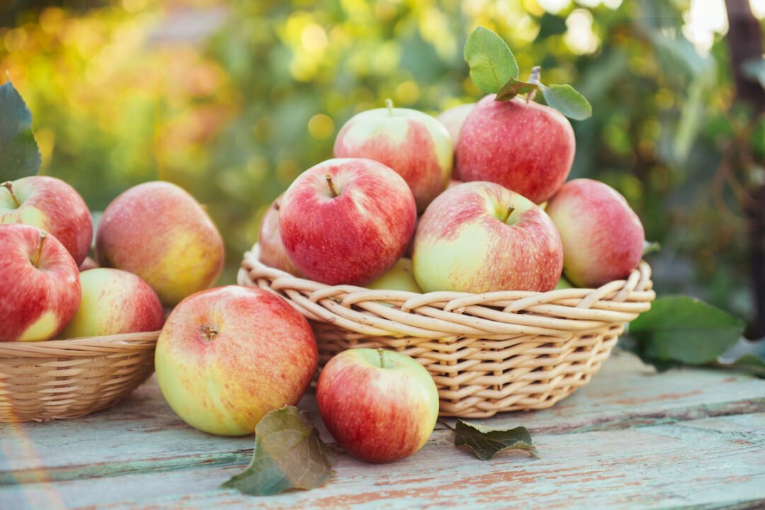 How Long Do Apples Last? - Farmhouse Guide