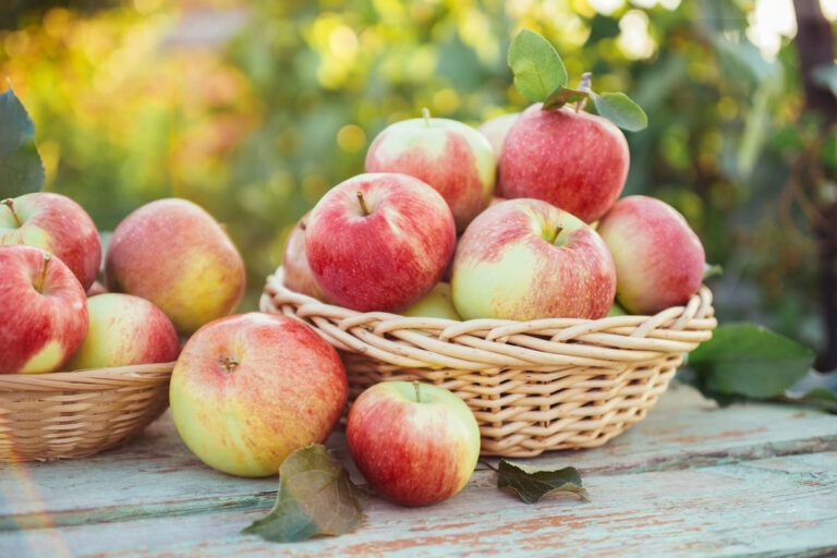 How Long Do Apples Last? - Farmhouse Guide