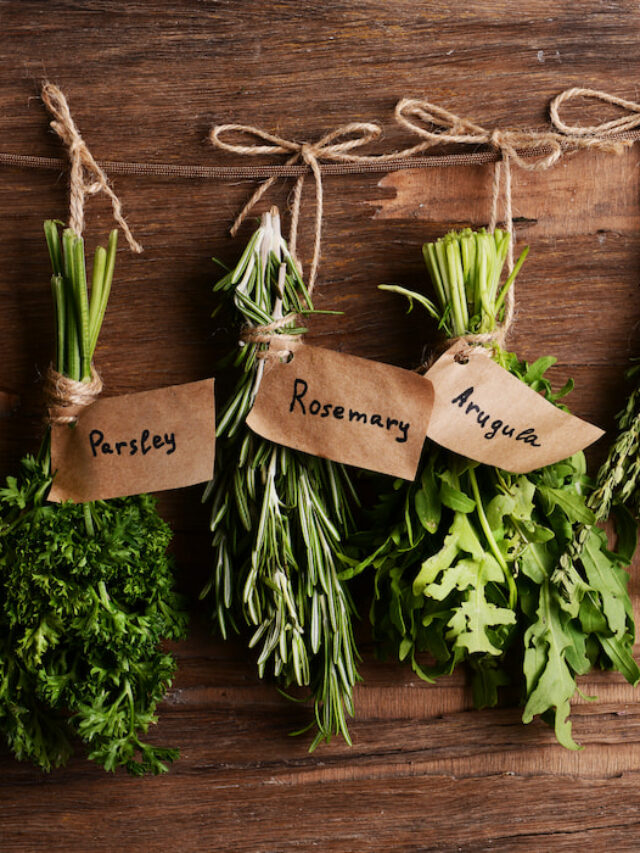 Types of Herbs - Farmhouse Guide