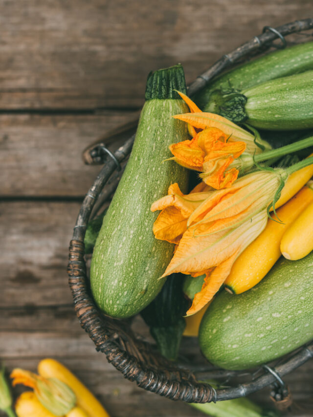 How to Tell if Zucchini Is Bad? - Farmhouse Guide