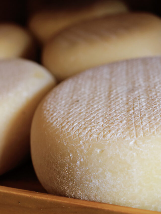 11 Benefits of Sheep Cheese - Farmhouse Guide