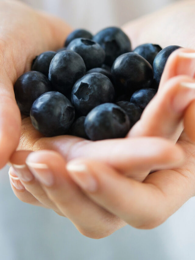 Can Goats Eat Blueberries? - Farmhouse Guide