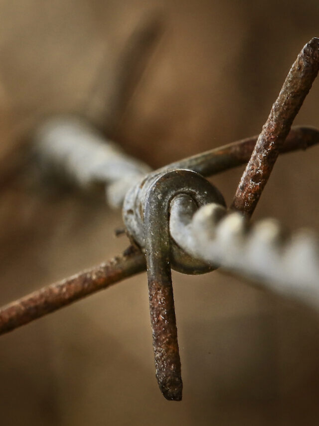 7 Types of Wire Fences for Your Farm - Farmhouse Guide